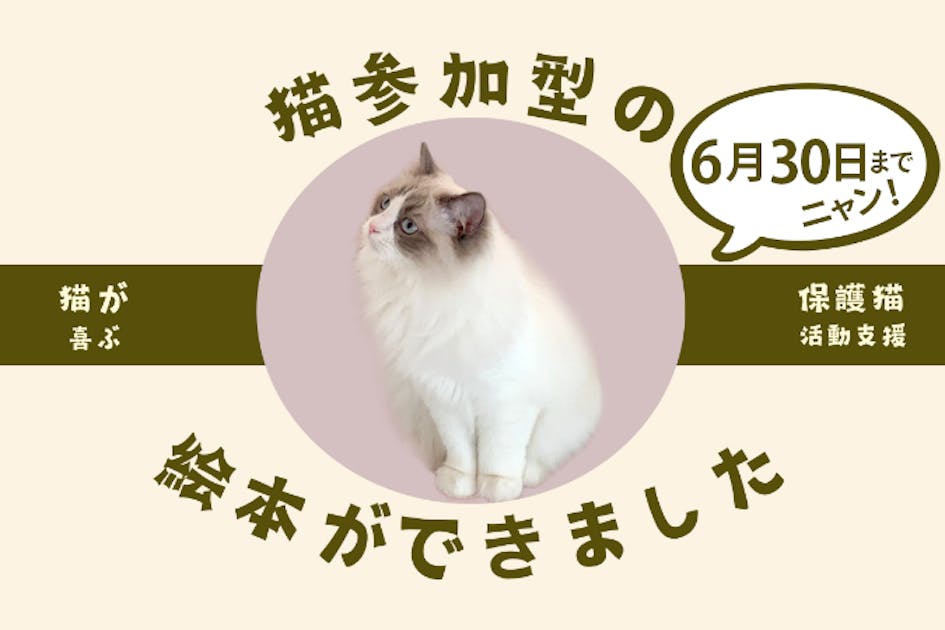 活動報告一覧 - 皆様に見ていただきたい第一弾商品は「猫と愉しむ飛び出す絵本」です！ - CAMPFIRE (キャンプファイヤー)