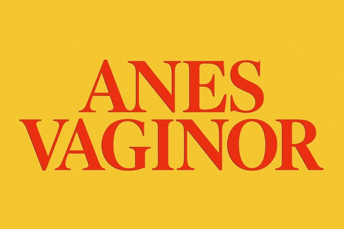 自由な音楽空間を創る！名古屋トランス&テクノバー【Anes Vaginor 】 - CAMPFIRE (キャンプファイヤー)