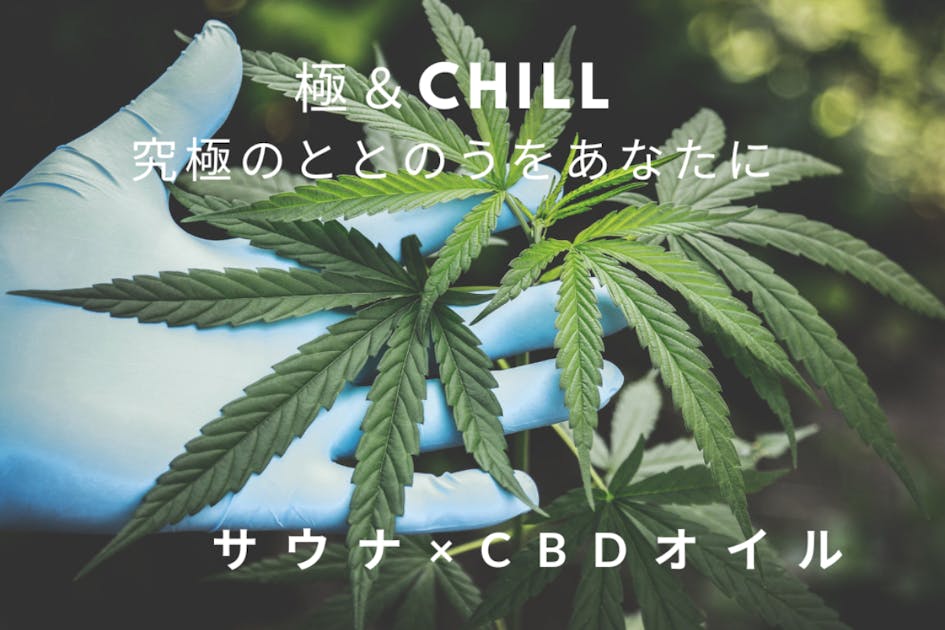 サウナユーザーに向けたCBDオイルで「究極のととのう」をあなたに届ける - CAMPFIRE (キャンプファイヤー)